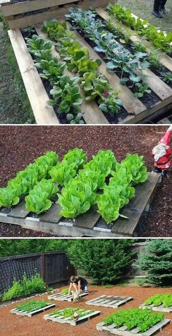 DIY Ιδέες για τον πιο απίθανο κήπο λαχανικών στην αυλή και τον κήπο σας ...